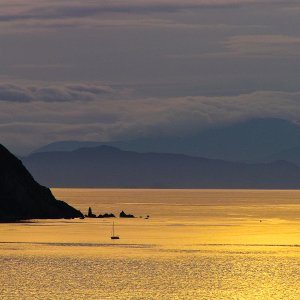 Golden Sea | DPReview Forums
