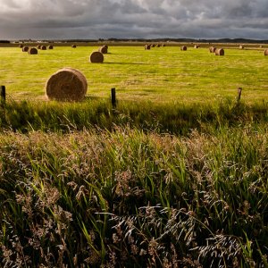 haystacks | DPReview Forums