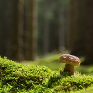 on the sun | DPReview Forums