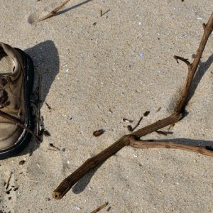 Perdidos e Achados | DPReview Forums