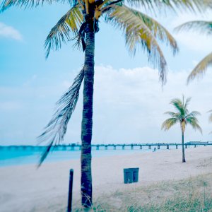 beach-01a_3600dpi-sharp-GIMPweb2 | DPReview Forums