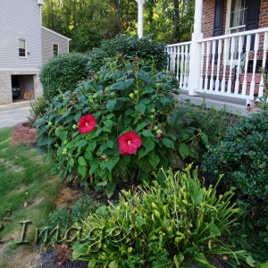 140907 - untitled - 1 | DPReview Forums