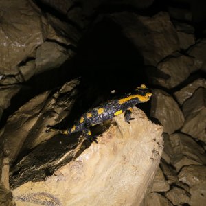 23 Julius #7 | DPReview Forums