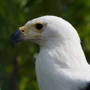 Tamron-150-600-Photokina-1 | DPReview Forums