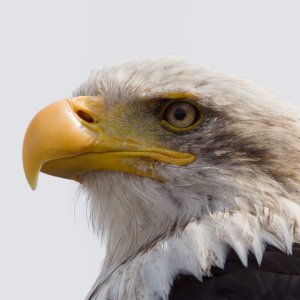 Tamron-150-600-Photokina-1 | DPReview Forums