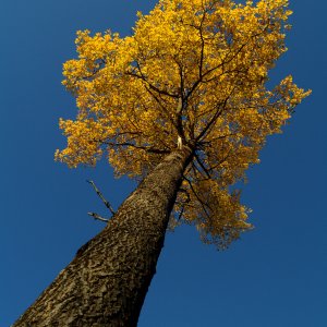 Aspen | DPReview Forums