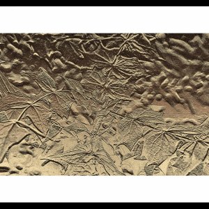 tone | DPReview Forums