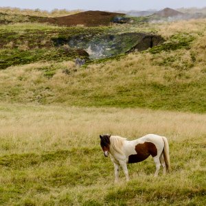 Iceland-206 | DPReview Forums