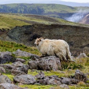 Iceland-206 | DPReview Forums