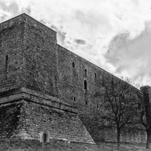 tamron-17-50 | DPReview Forums