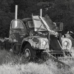 rottingtruck | DPReview Forums