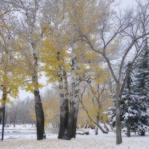 nov-11 | DPReview Forums