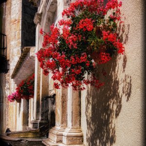 tamron-17-50 | DPReview Forums