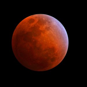 Lunar eclipse | DPReview Forums