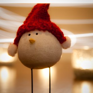 17-70 | DPReview Forums