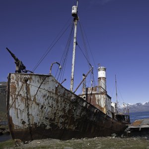 whaling-station | DPReview Forums