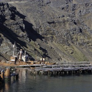 whaling-station | DPReview Forums