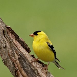 zd-70-300 | DPReview Forums