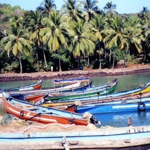 Bagga Beach Goa | DPReview Forums