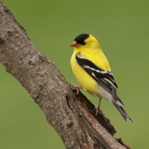 zd-70-300 | DPReview Forums