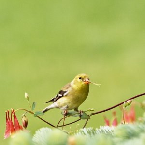 zd-70-300 | DPReview Forums