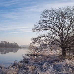 winter-landacape | DPReview Forums