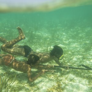 gypsies | DPReview Forums