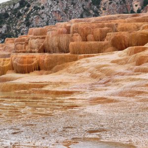 natural-selection | Page 2 | DPReview Forums