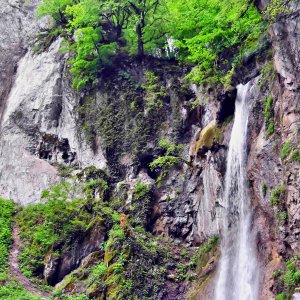 natural-selection | Page 2 | DPReview Forums