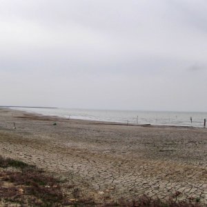 natural-selection | Page 2 | DPReview Forums