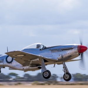 Mustang P51 | DPReview Forums