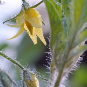 dmc-g3 | DPReview Forums