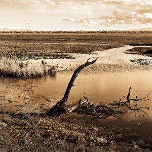 kerkini lake 1 | DPReview Forums