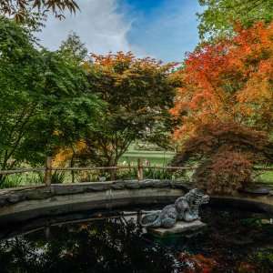 Dragon Pond | DPReview Forums