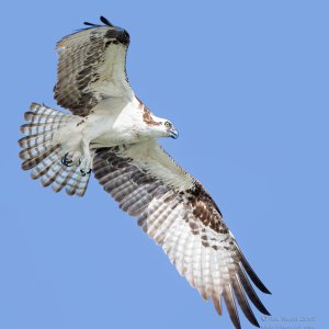 tim-rucci | DPReview Forums