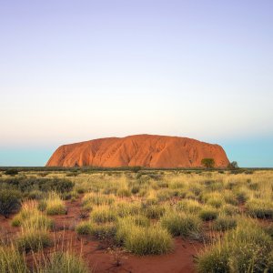 P6053336-1-6 | DPReview Forums