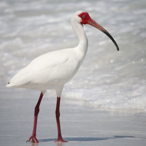 anna-maria-island | DPReview Forums