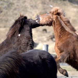 Iceland | DPReview Forums