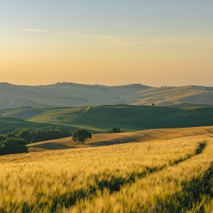 Crete Senesi | DPReview Forums