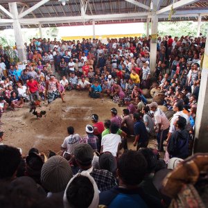 Bali | DPReview Forums