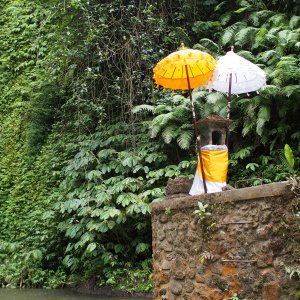 Bali | DPReview Forums