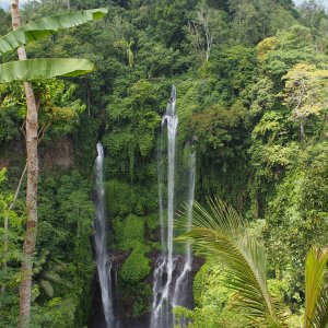 Bali | DPReview Forums