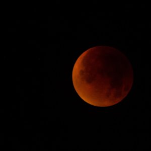 Total Lunar Eclipse | DPReview Forums