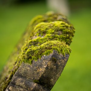 Road Trip in Kent 2015-5537 | DPReview Forums