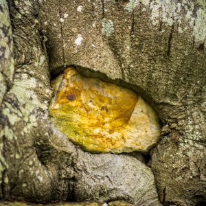 Road Trip in Kent 2015-5338 | DPReview Forums