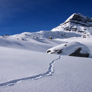 geolat4642062982 | DPReview Forums