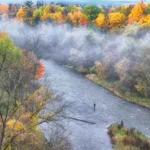 Color Of Fall | DPReview Forums