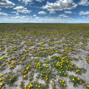 rock cr res | DPReview Forums