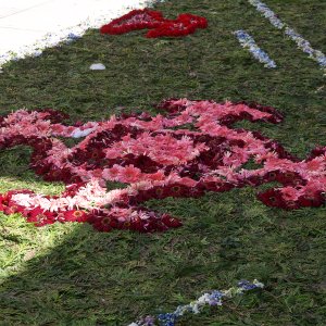Corpus Christi Procession_Caminha_Streets-11 | DPReview Forums