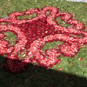 Corpus Christi Procession_Caminha_Streets-11 | DPReview Forums
